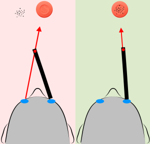 Cross-dominant shooting with shotguns, rifles, and archery — Dry Fire ...