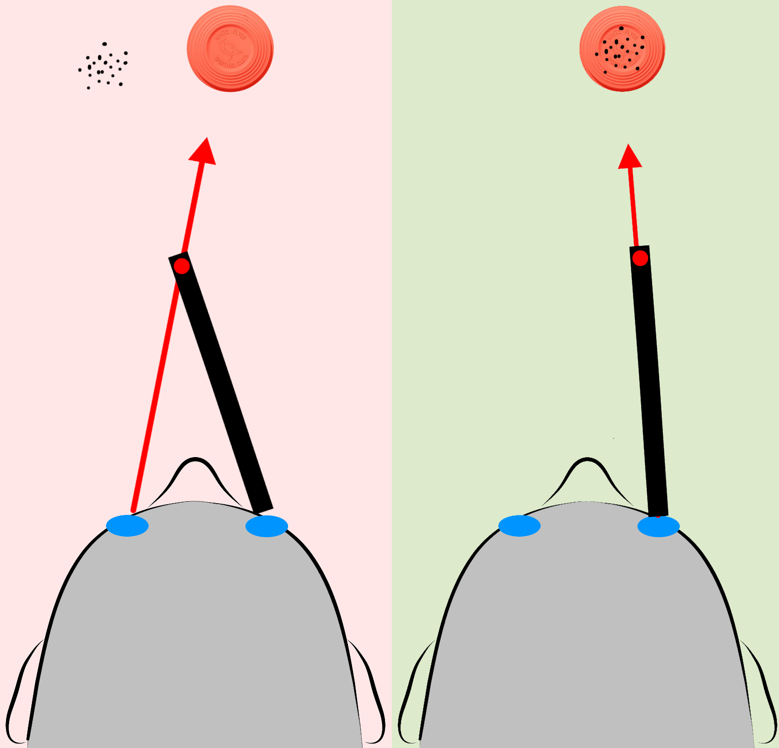 Cross-dominant shooting with shotguns, rifles, and archery — Dry Fire ...