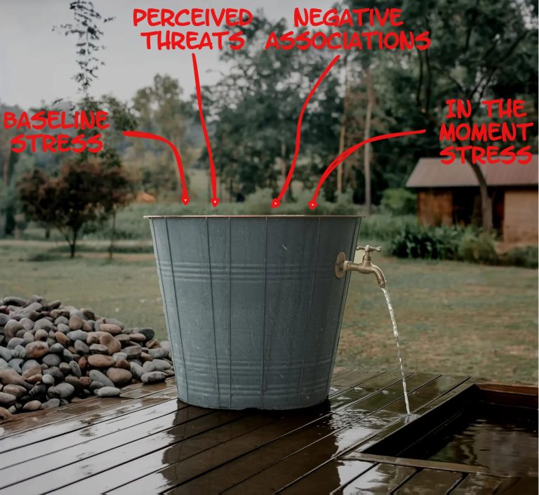 The Crazy Connection between Flinch and Balance — Dry Fire Training ...