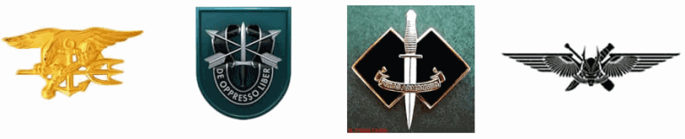 Dry Fire Training Cards