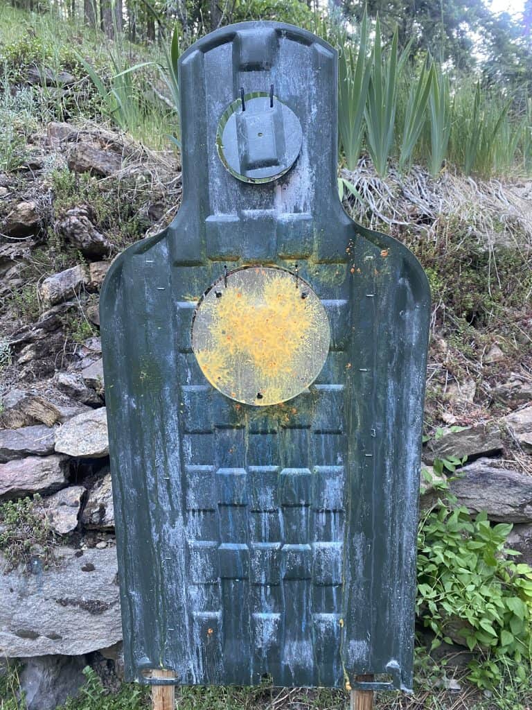 T4E TPM1 — Dry Fire Training Cards